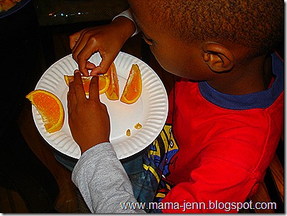 Totally Tots: Jack's Garden- Seed Observation ~ Once Upon a Book